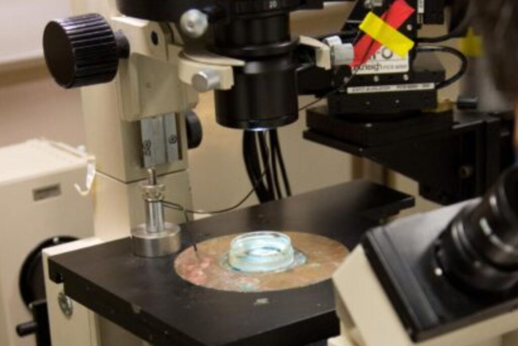 Optical Imaging and Analysis Lab | Biointerfaces Institute / University ...