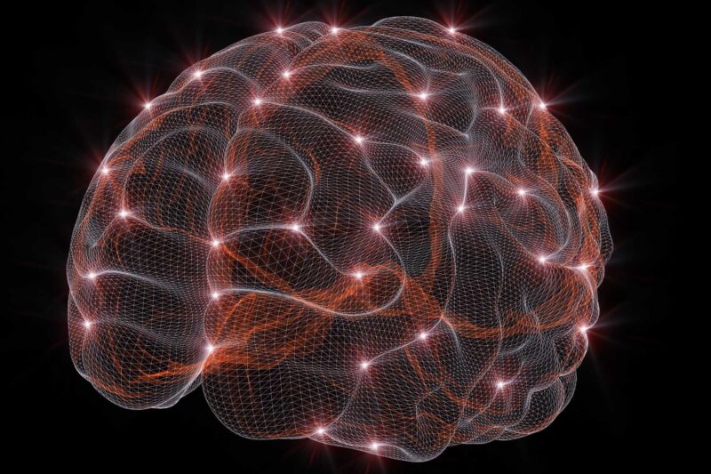 Neural Engineering | Biointerfaces Institute / University of Michigan