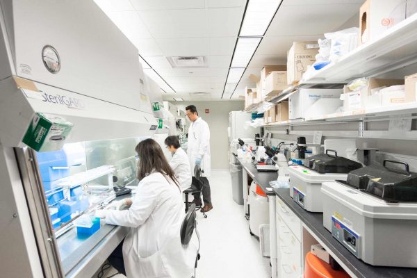 Advanced Materials and Drug Delivery | Biointerfaces Institute ...