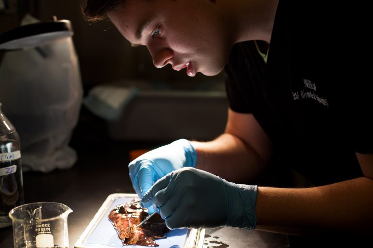 Neural Engineering | Biointerfaces Institute / University of Michigan