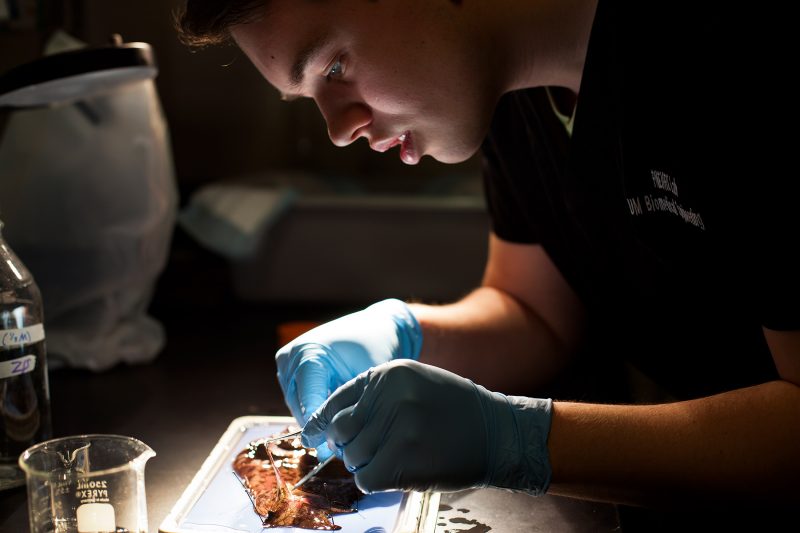 Neural Engineering | Biointerfaces Institute / University of Michigan