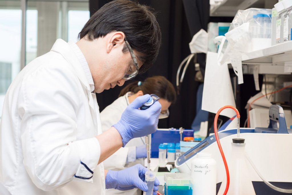 Cell and Tissue Engineering | Biointerfaces Institute / University of ...