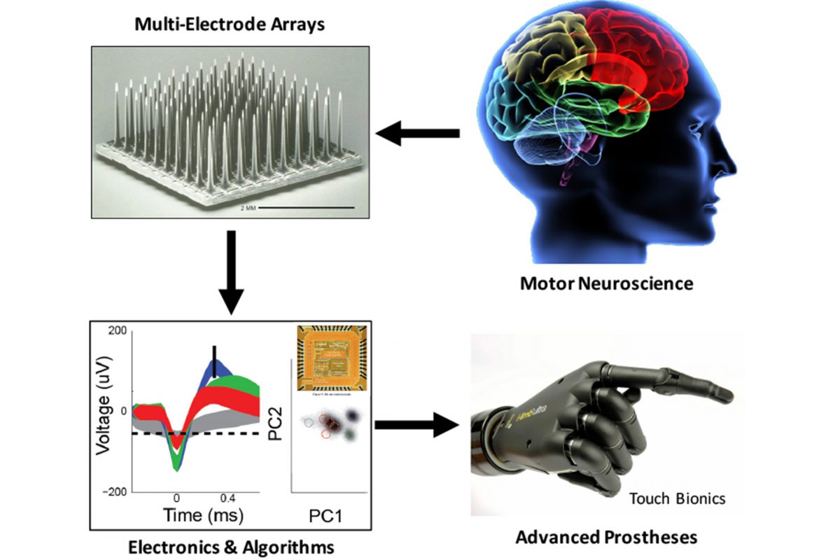 Neural Engineering | Biointerfaces Institute / University of Michigan
