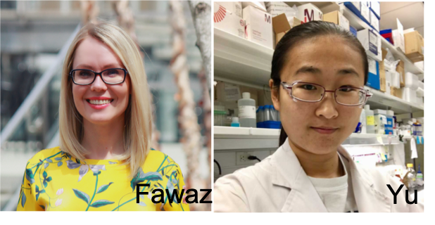 Maria Fawaz and Minzhi Yu receive AHA Predoctoral Fellowships ...