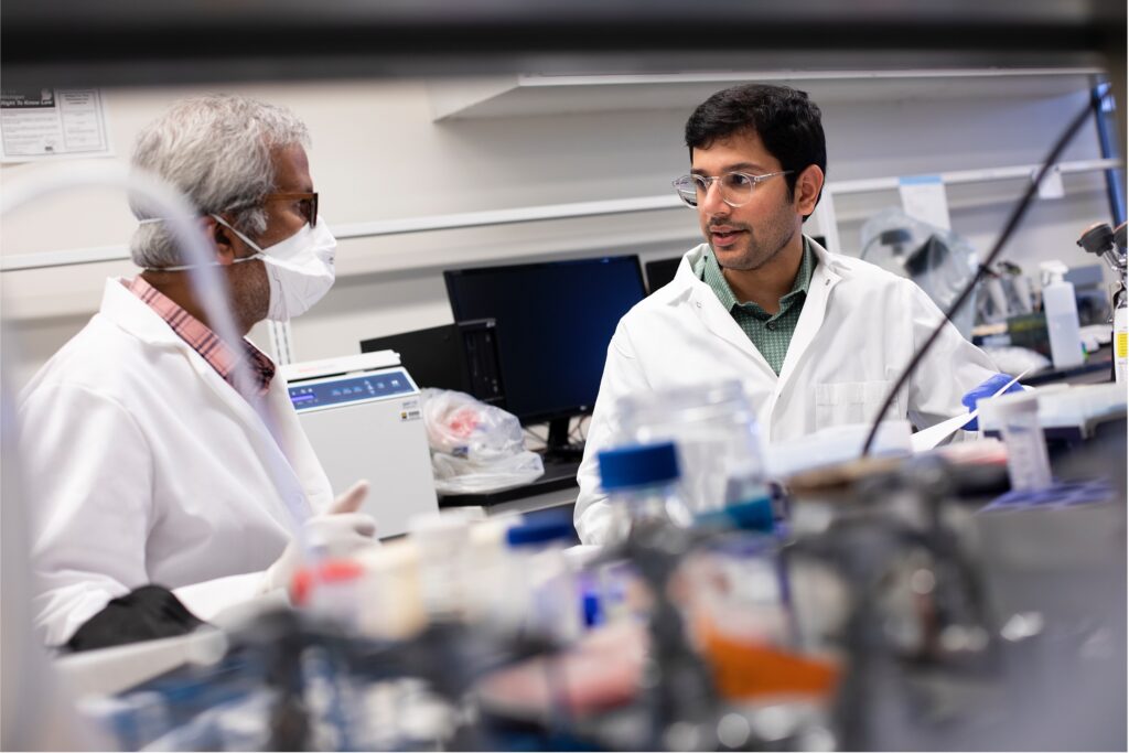 Cell and Tissue Engineering | Biointerfaces Institute / University of ...