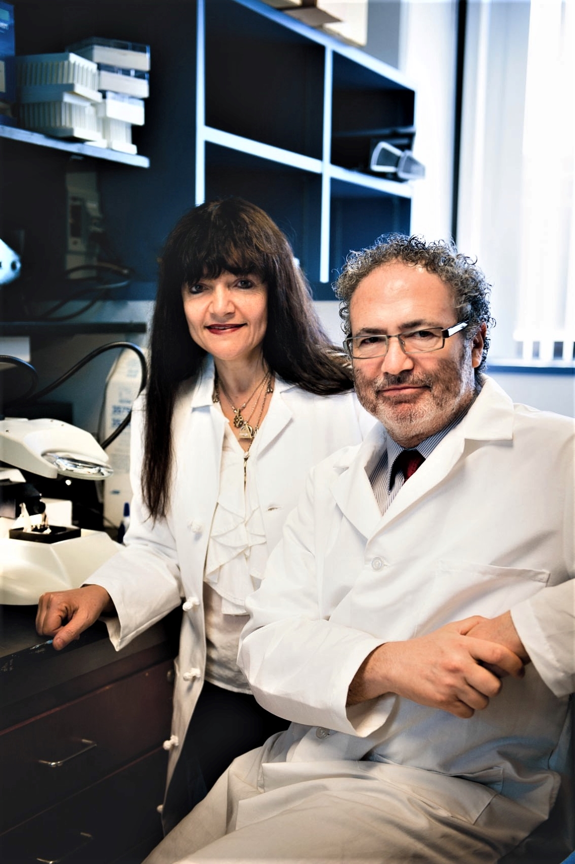 Dr. Maria Castro and Dr. Pedro Lowenstein Optimize Oncolytic Viruses to ...